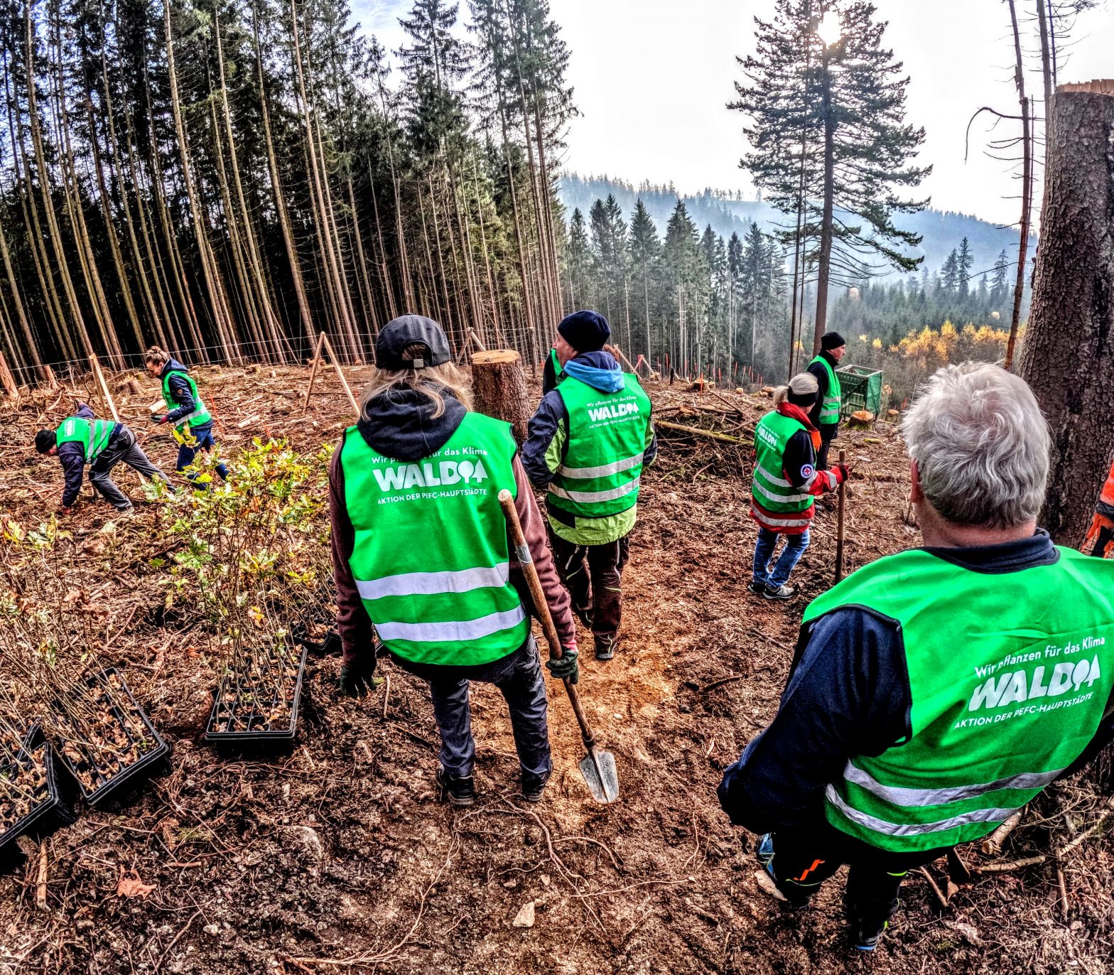 Veranstaltungen rund um den Tag des Waldes 2025 - Tag des Waldes